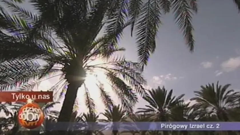 Michał Piróg w Izraelu - Dzień Dobry TVN