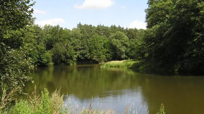 Filip Chajzer sprawdza, czy Polska jest ładna! - Dzień Dobry TVN