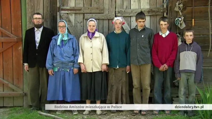 Amisze w Polsce – jak żyją i gdzie mieszkają? - Dzień Dobry TVN
