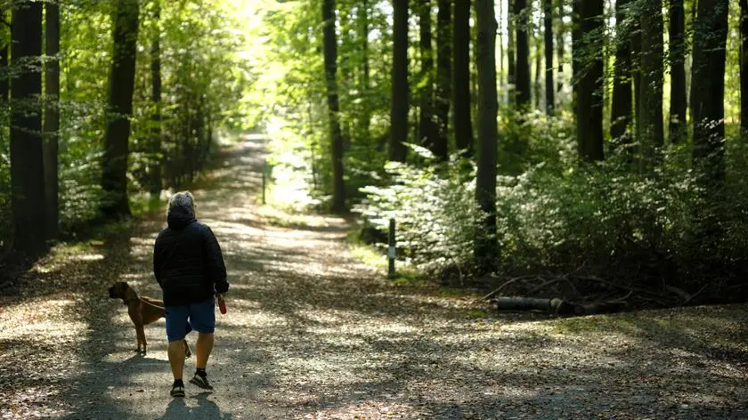 JOMO – co to jest i na czym polega ten trend? - Dzień Dobry TVN