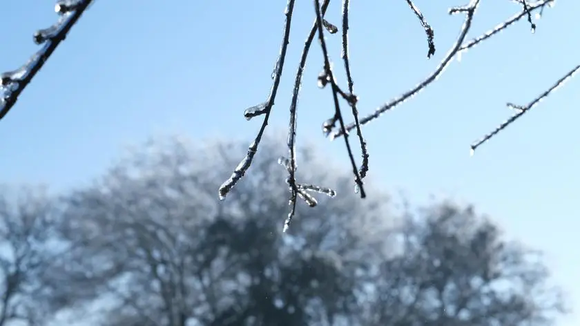 Pogoda na wtorek, 18 lutego 2025. Jaka będzie dzisiaj pogoda? - Dzień Dobry TVN