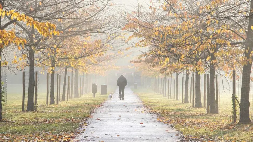 Pogoda na czwartek, 7 listopada. Jaka będzie dzisiaj pogoda? - Dzień Dobry TVN