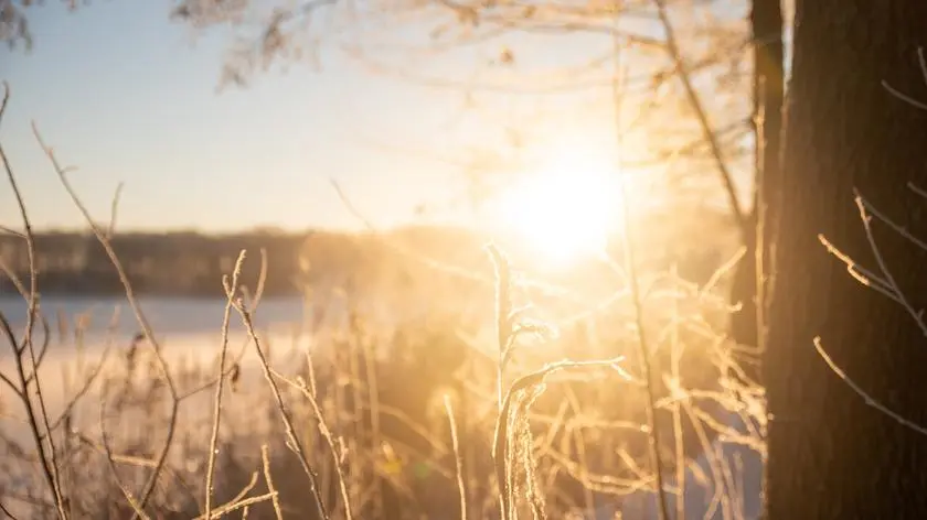 Pogoda na czwartek, 20 marca 2025. Jaka będzie dzisiaj pogoda? - Dzień Dobry TVN