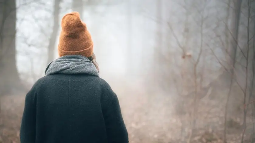 Pogoda na środę, 12 listopada. Jaka będzie jutro pogoda? - Dzień Dobry TVN