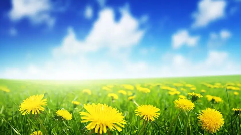 Pogoda na poniedziałek, 11 sierpnia. Jaka będzie dzisiaj pogoda? - Dzień Dobry TVN