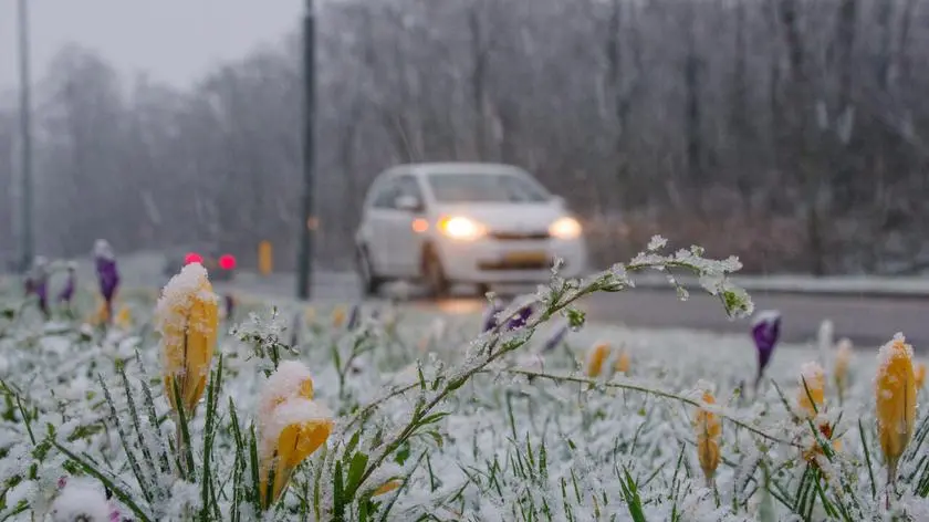 Pogoda na wtorek, 11 marca 2025. Jaka będzie dzisiaj pogoda? - Dzień Dobry TVN