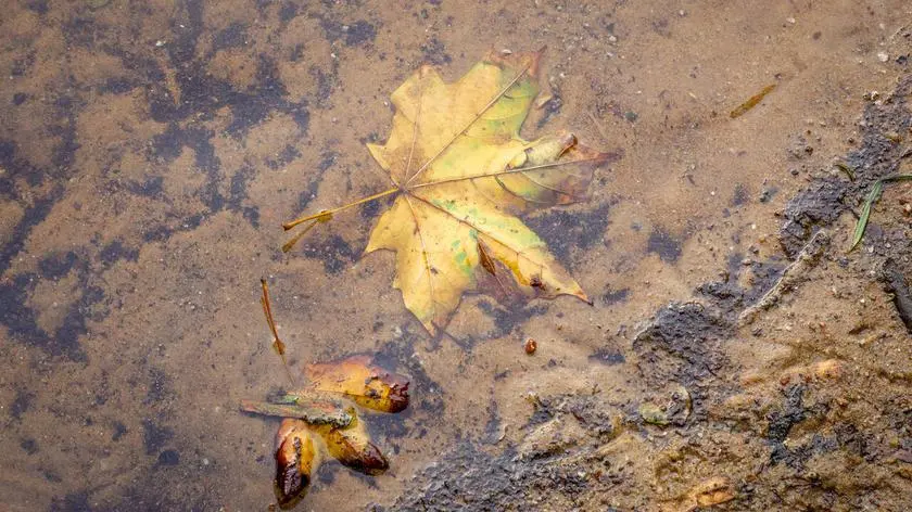 Pogoda na czwartek, 11 września. Jaka będzie dzisiaj pogoda? - Dzień Dobry TVN