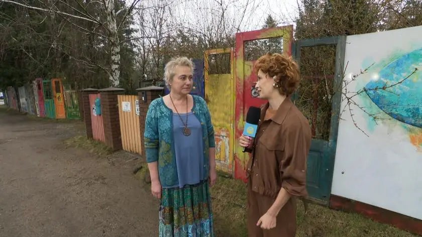 Skierdy. Płot z kolorowych drzwi - Dzień Dobry TVN