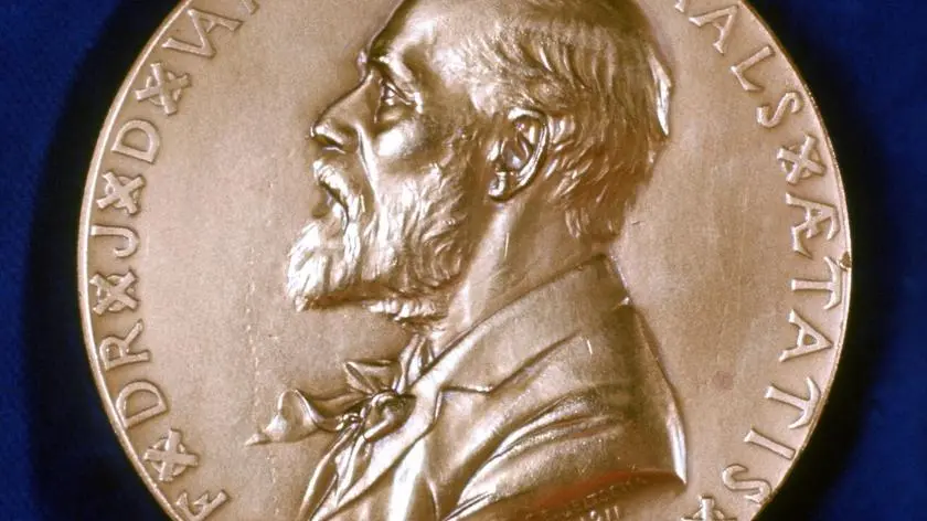 Nagroda Nobla z medycyny 2025. Uhonorowano 3 naukowców - Dzień Dobry TVN