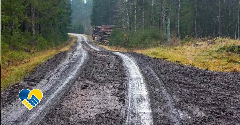 Rasputica - co to za zjawisko? - Dzień Dobry TVN