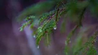 Pogoda na sobotę, 30 grudnia. Jaka będzie dzisiaj pogoda? - Dzień Dobry TVN