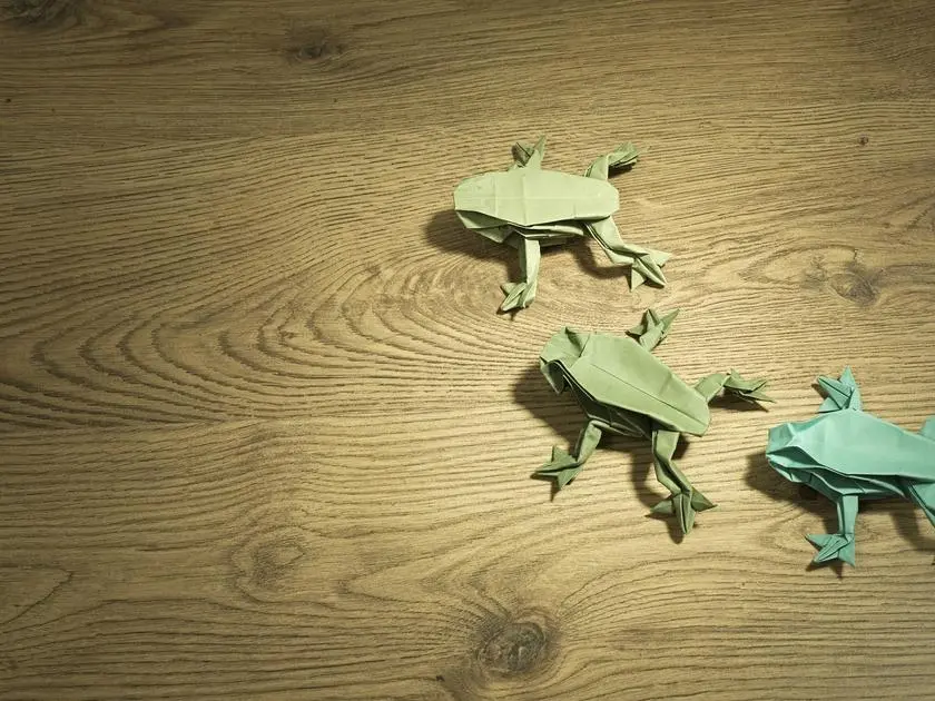 Origami żaba - szablon, jak zrobić papierową żabę? - Dzień Dobry TVN