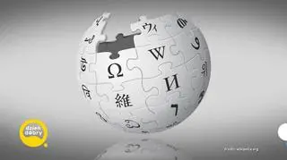 Kto redaguje polską Wikipedię? - Dzień Dobry TVN
