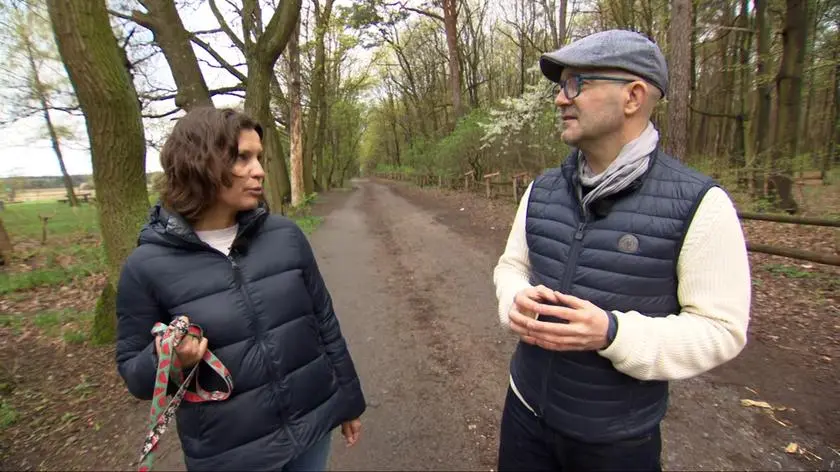 Fakty i mity o szczepionkach dla lisów. Czy mogą zaszkodzić psom? - Dzień Dobry TVN