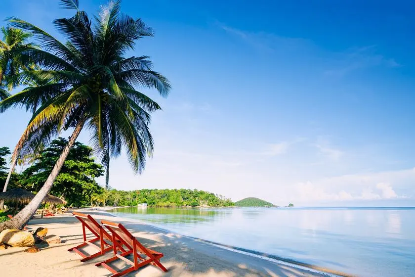 Wyspy Samoa – atrakcje, ciekawostki - Dzień Dobry TVN