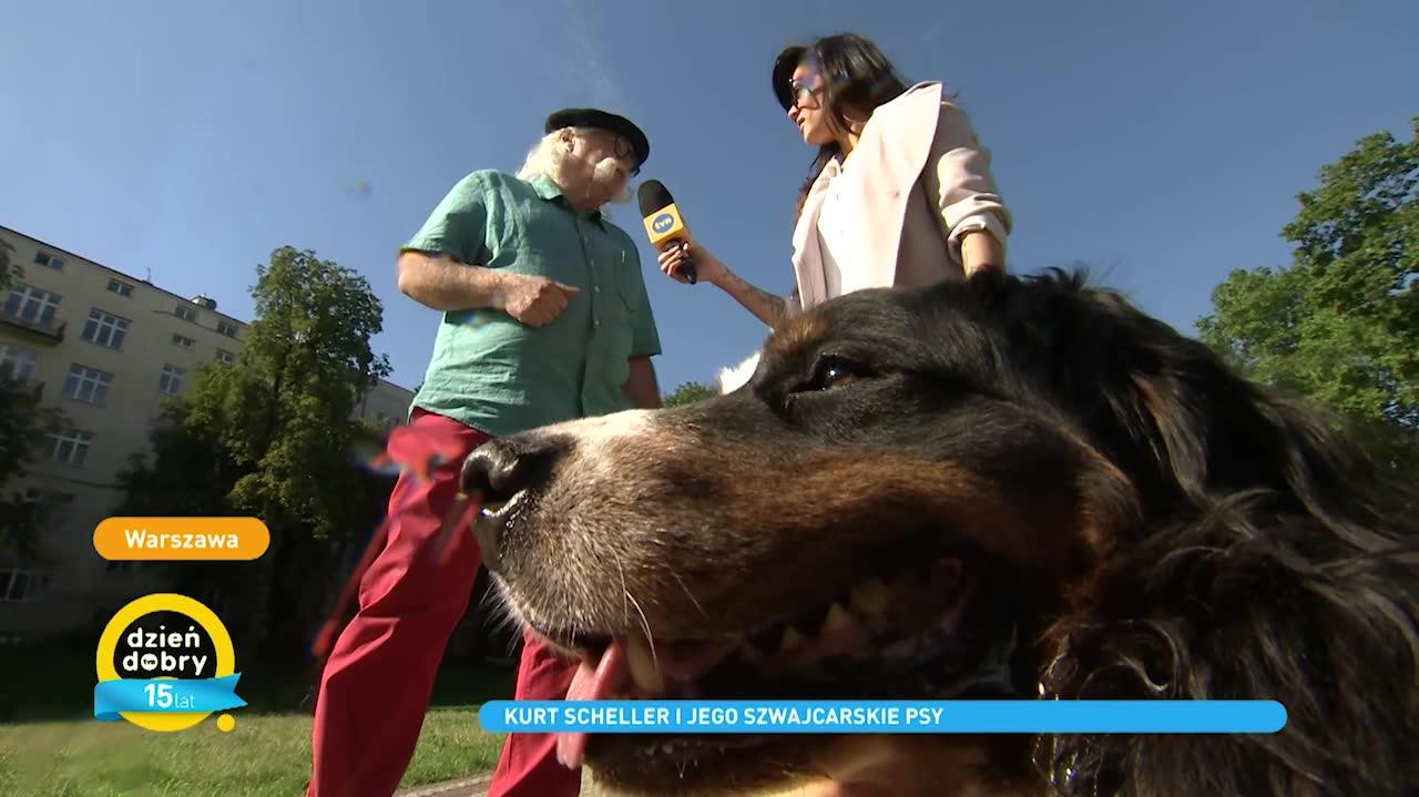 Kurt Scheller - znany szef kuchni pokazał swoje psy. Berneński pies ...