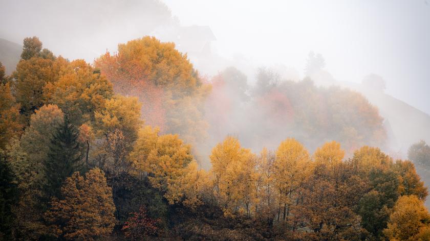 Pogoda na wtorek, 15 listopada 2022 r. Jak będzie pogoda? - Dzień Dobry TVN