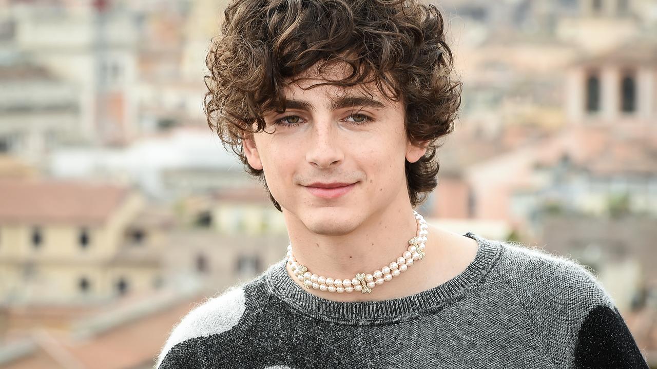 Timothée Chalamet zagra w filmie biograficznym. 27-latek wcieli się w ...