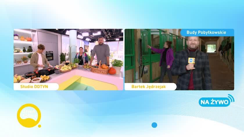 Pestka mango – właściwości i zastosowanie. Jak można ją wykorzystać ...