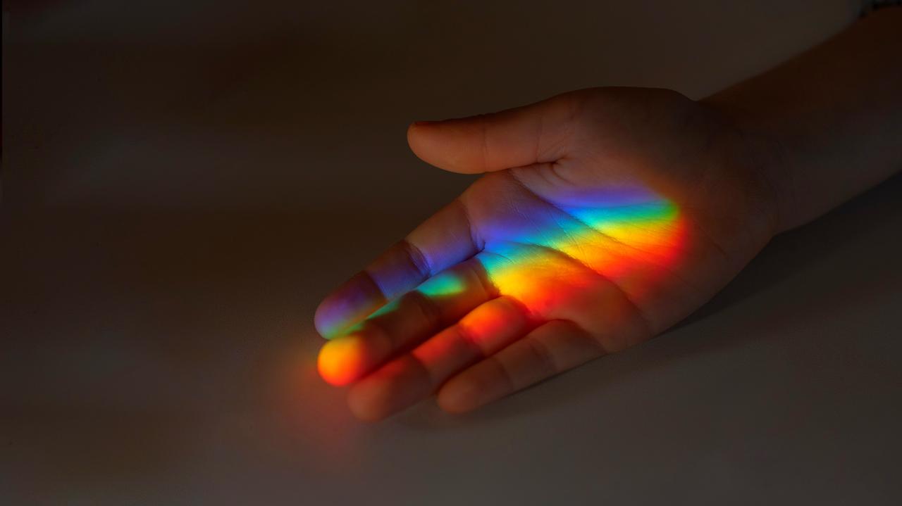 Gender - co to jest? Na czym polega? Ideologia - Dzień Dobry TVN