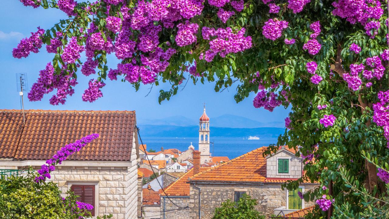 Split wprowadza ograniczenia dla turystów - Dzień Dobry TVN