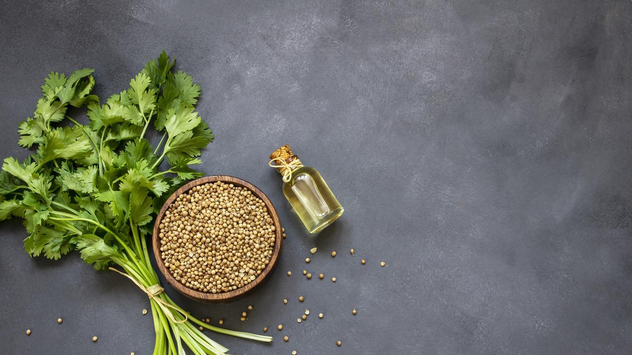 Kolendra - zasady uprawy i lecznicze właściwości | Dzień Dobry TVN ...