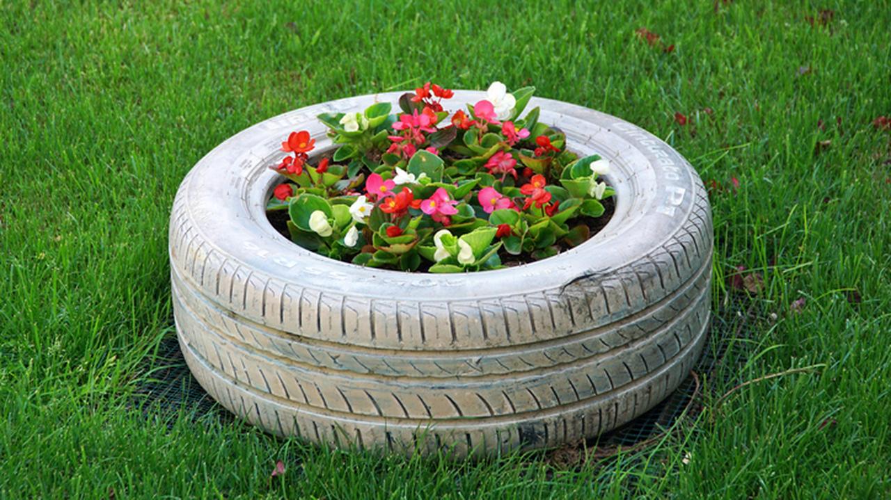 Jak zrobić kwietnik łabędź z opony samochodowej? - Dzień Dobry TVN