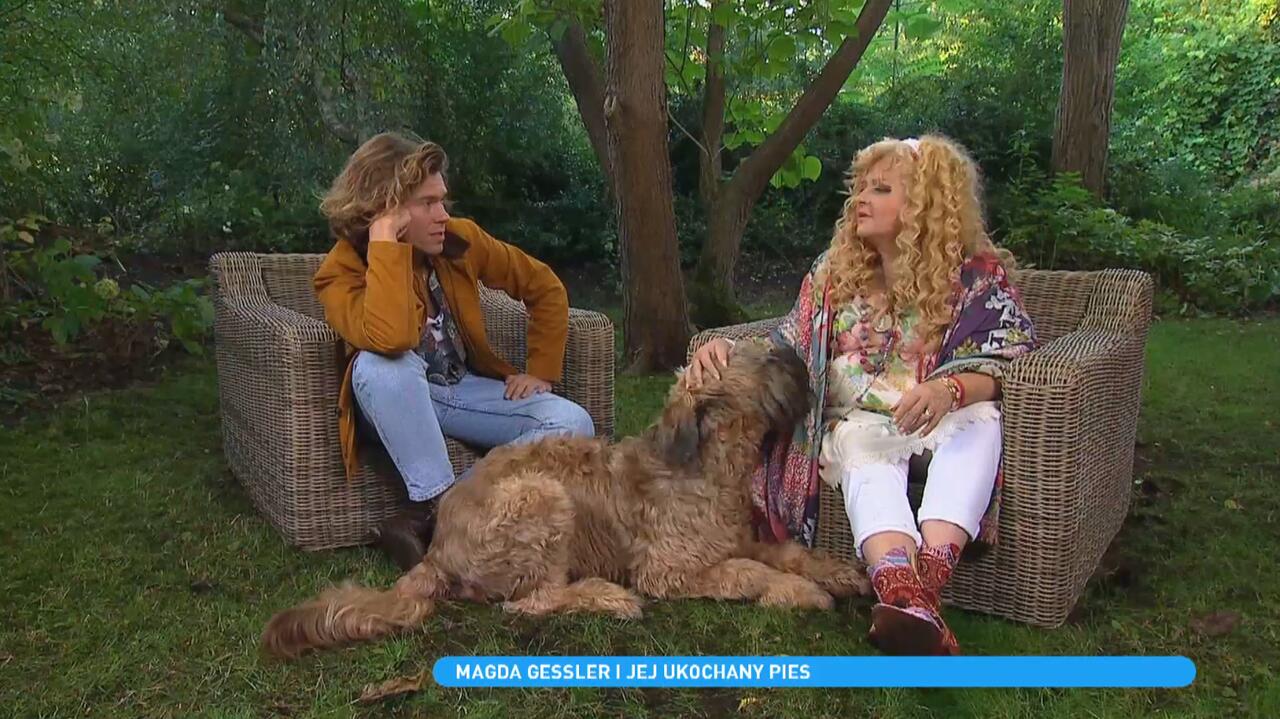 Magda Gessler, Anna Głogowska i Tomasz Ciachorowski o ukochanych psach ...