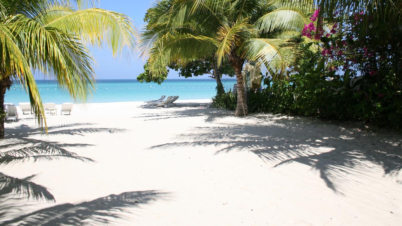 Jamajka - co powinniśmy wiedzieć przed podróżą? - Dzień Dobry TVN