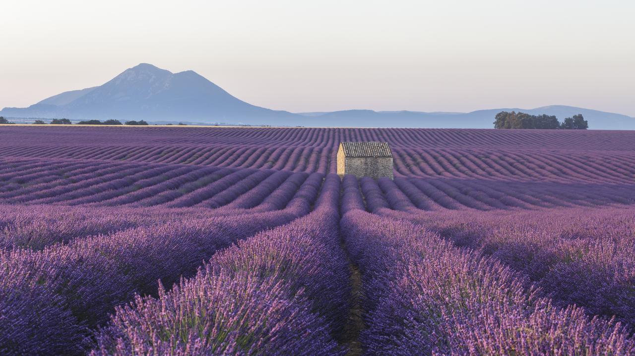 Gdzie się znajduje Prowansja? Z czego słynie? - Dzień Dobry TVN
