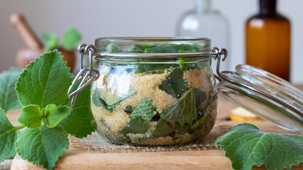 Jak zrobić domowy syrop na przeziębienie? Sprawdź proste przepisy ...